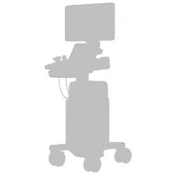 GE LOGIQ P10 XDclear - BMS Ultraschall